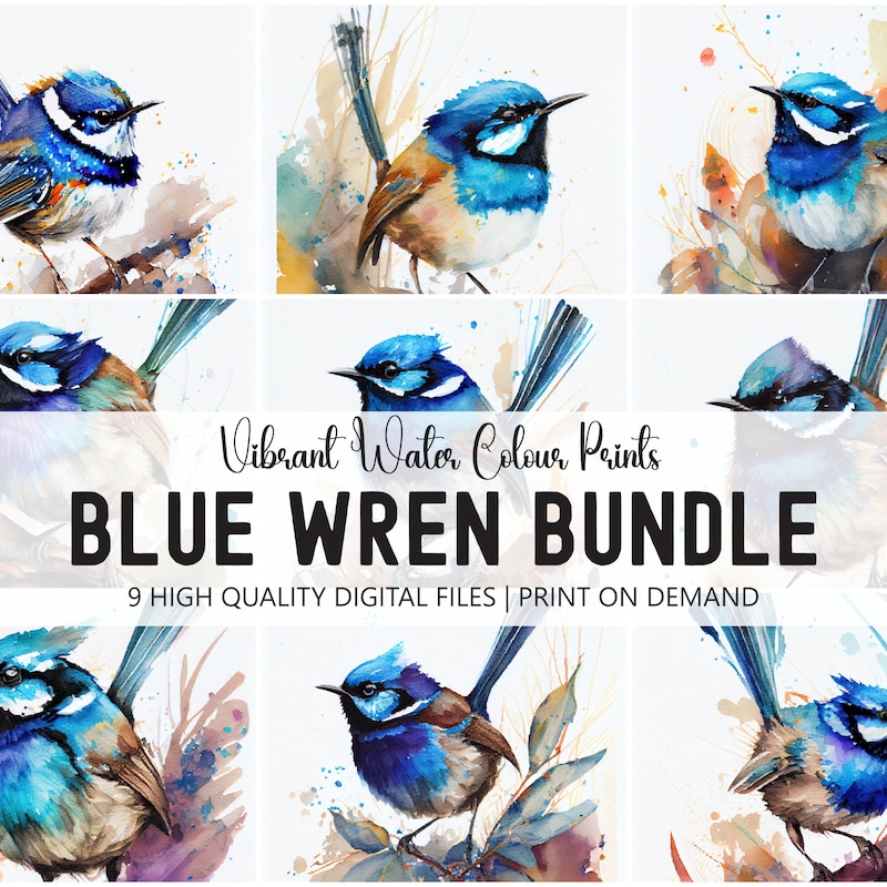 Blue Wren - Etsy Australia