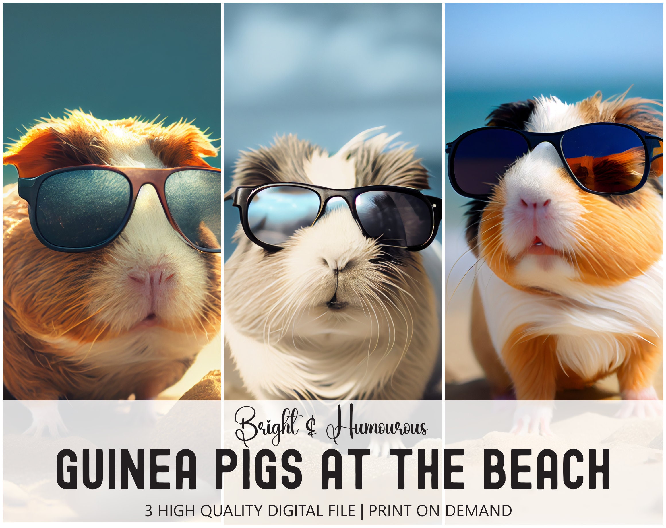 Guinea Pig, Cavy, at the Beach 3 Images Poster Art, Digital Download ...
