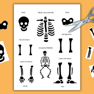 Build a Skeleton Printable Game, Hangman Game With a Skelton, 36 ...