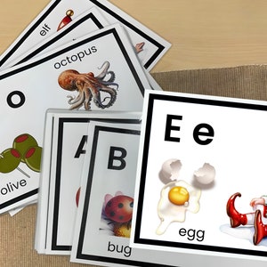 Alphabet Flashcards for Early Letter Recognition, Printable Learning ...