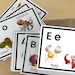 Alphabet Flashcards for Early Letter Recognition, Printable Learning ...
