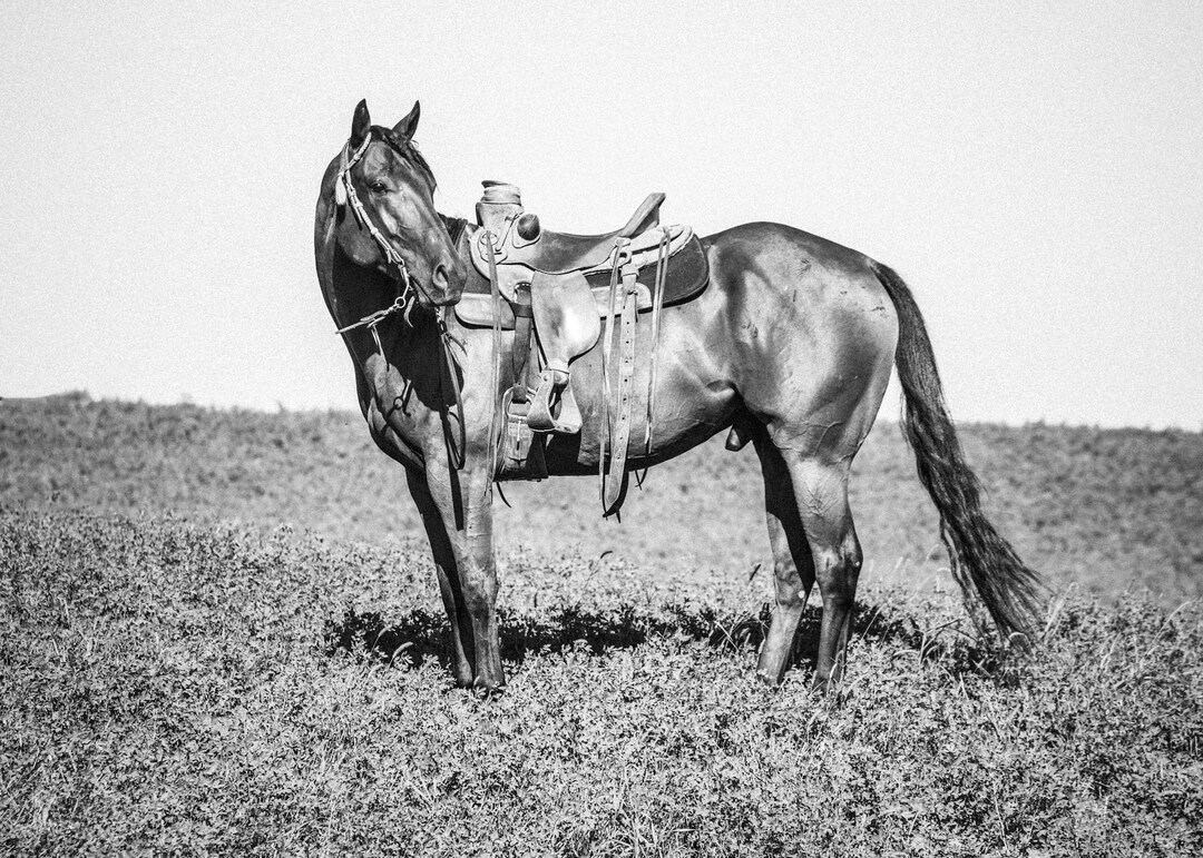 Western Fine Art Print - Etsy