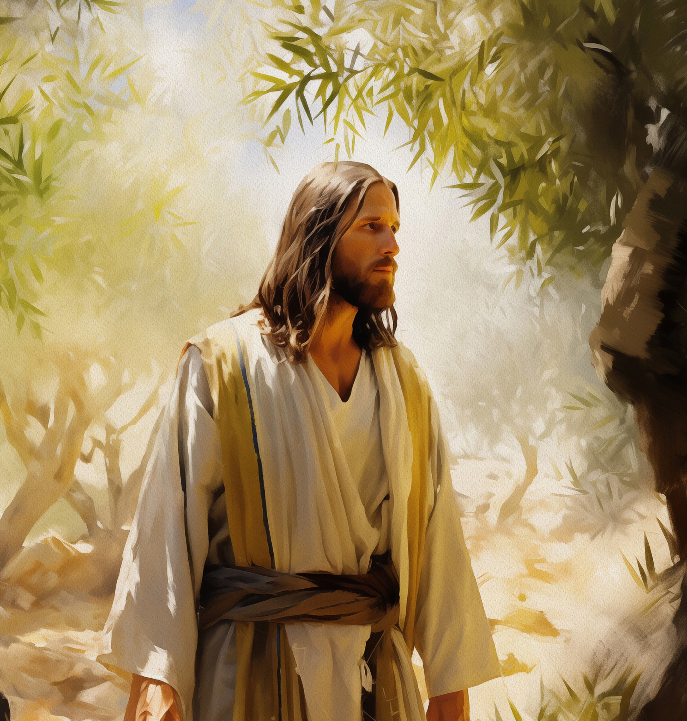 Jesus and the Olive Tree, Romans 11 17, Christ Parable Christian ...