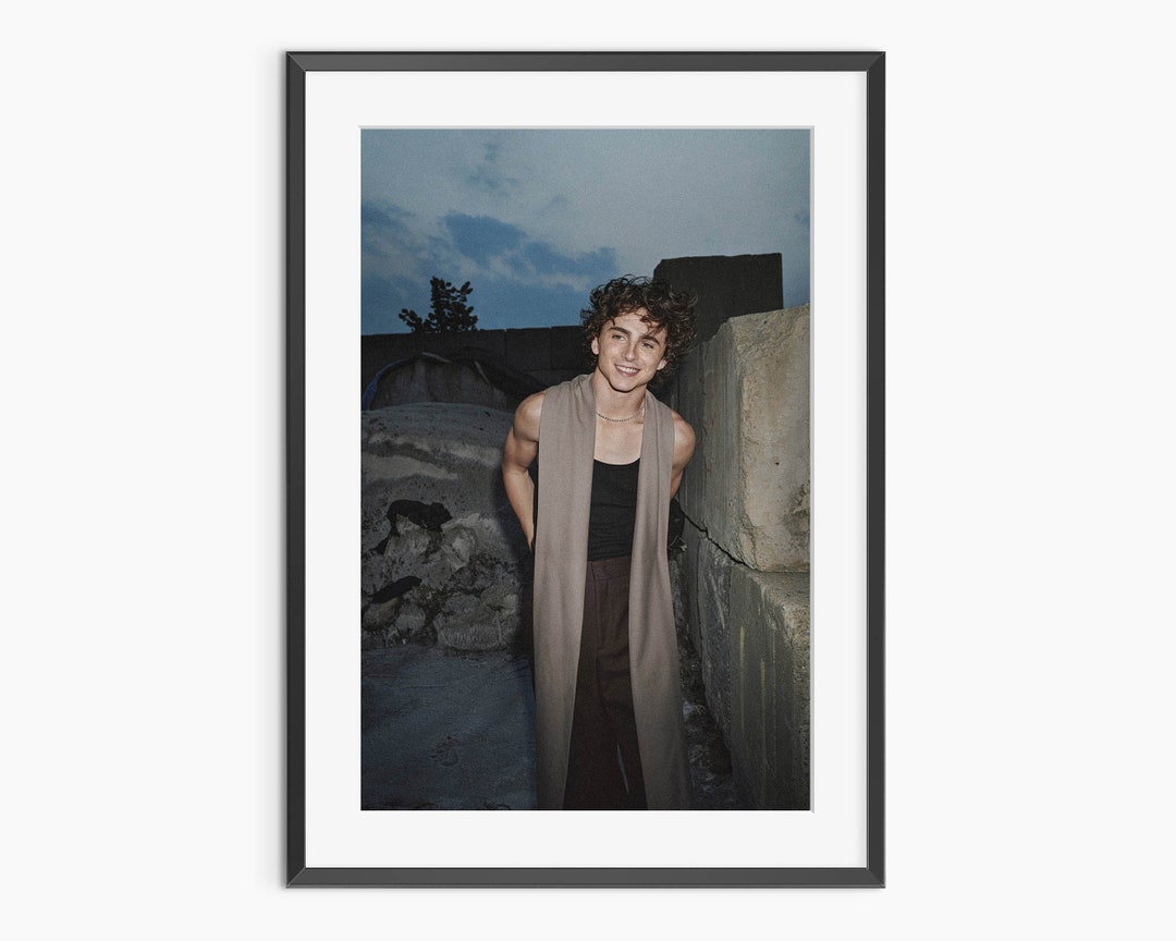 Timothee Chalamet Affiche, Movie Star Photo, Timothee Chalamet Poster ...
