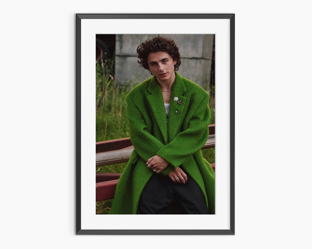 Timothee Chalamet Poster, Celebrity Photo Print, Timothee Chalamet ...
