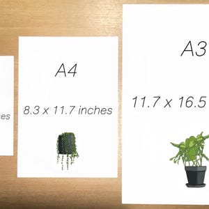 Toad Bathroom Print. Toad in the Bath, Frog in the Tub, Animal Bathroom ...