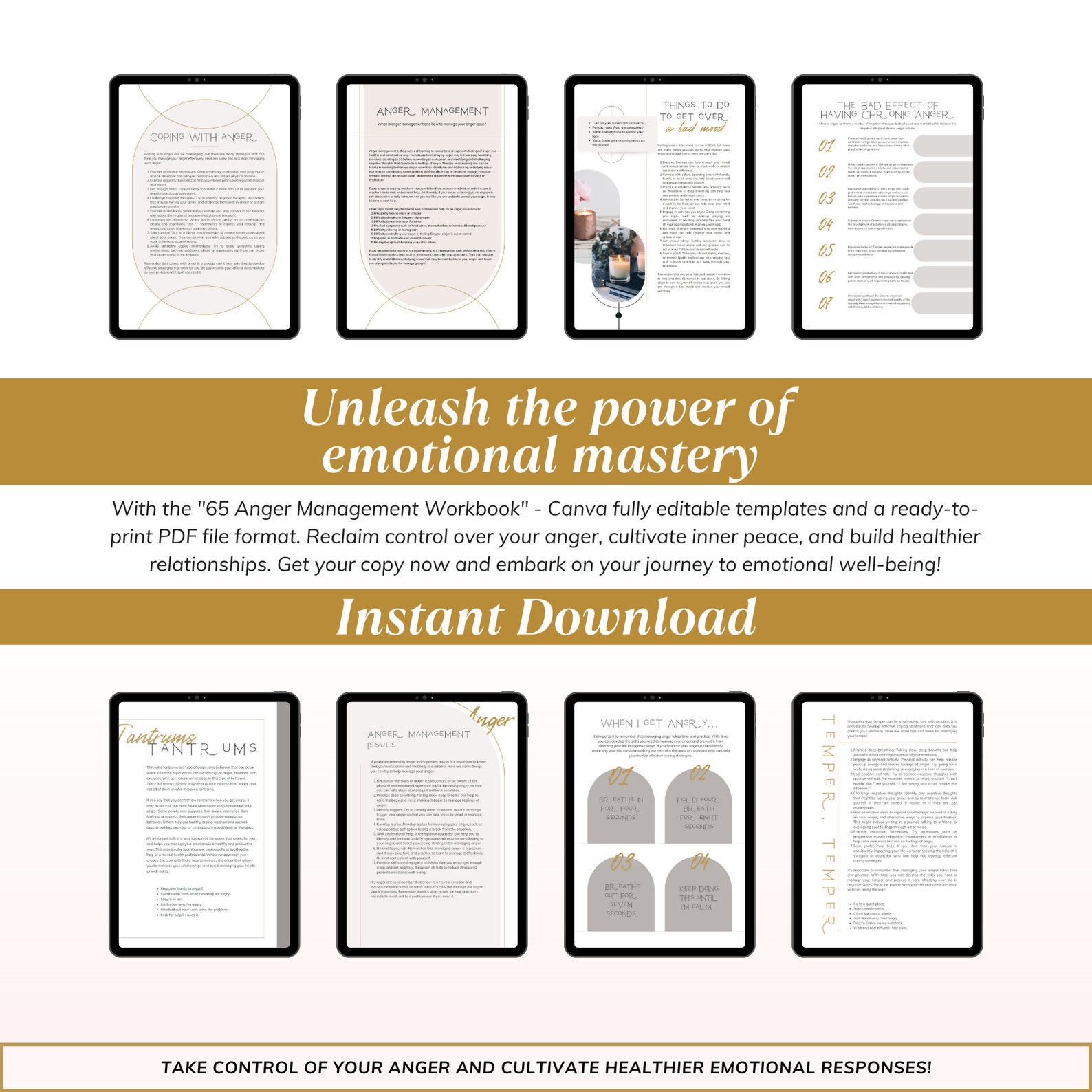 65 Page Anger Management Workbook, Stress Management Worksheet, and ...