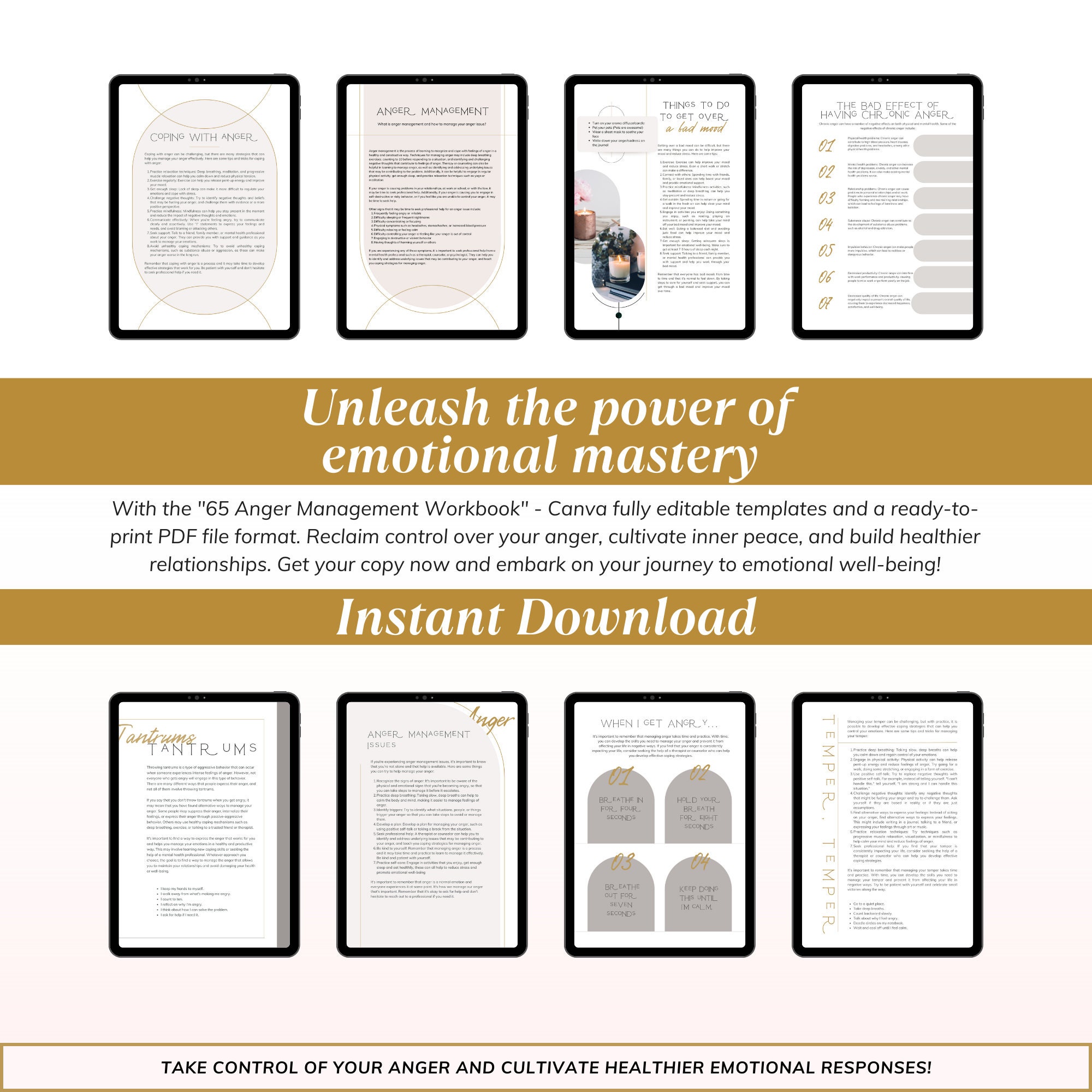 65 Page Anger Management Workbook, Stress Management Worksheet, and ...