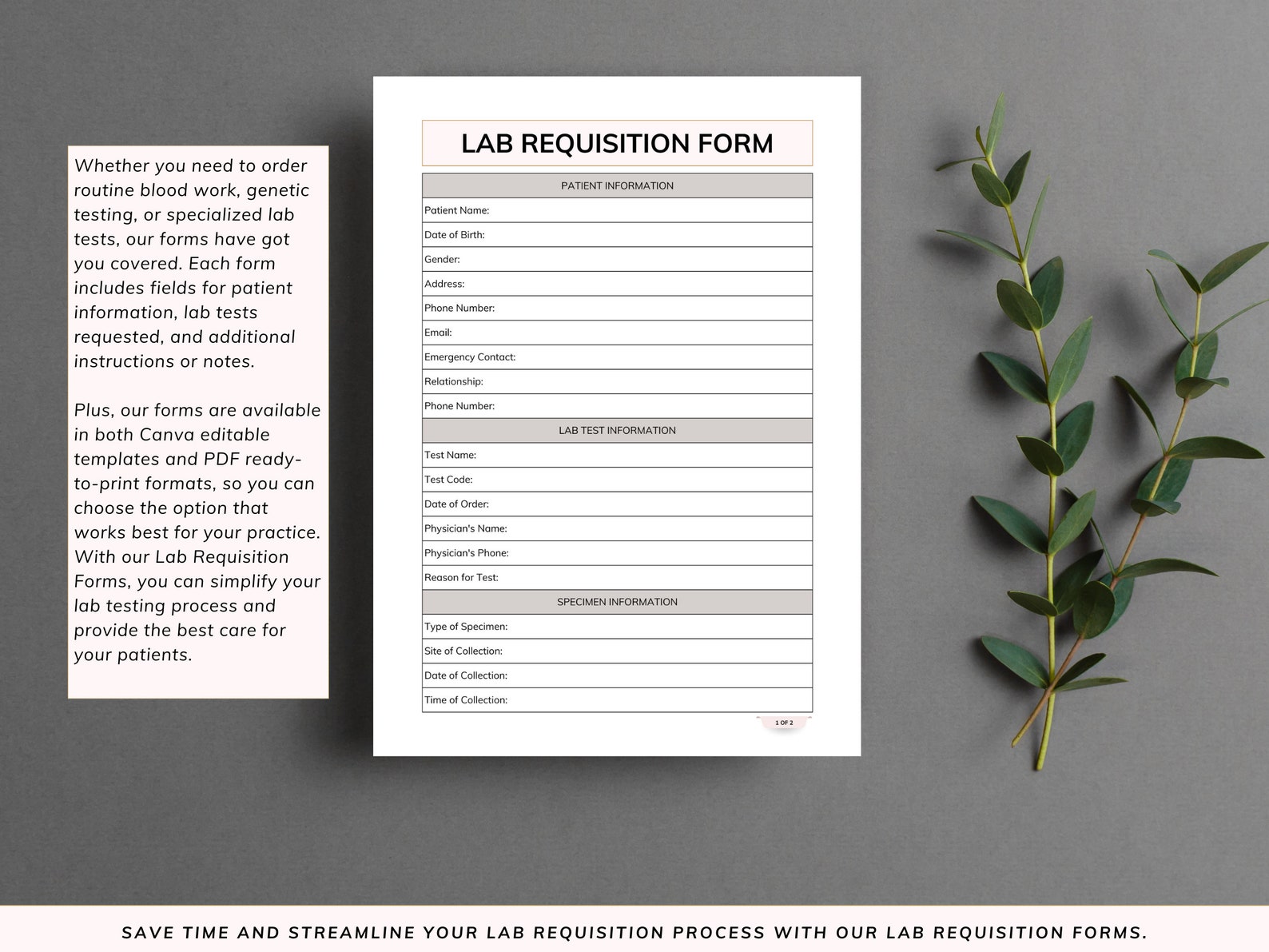 Lab Requisition Forms - 7 Editable Canva Templates and Printable PDF ...
