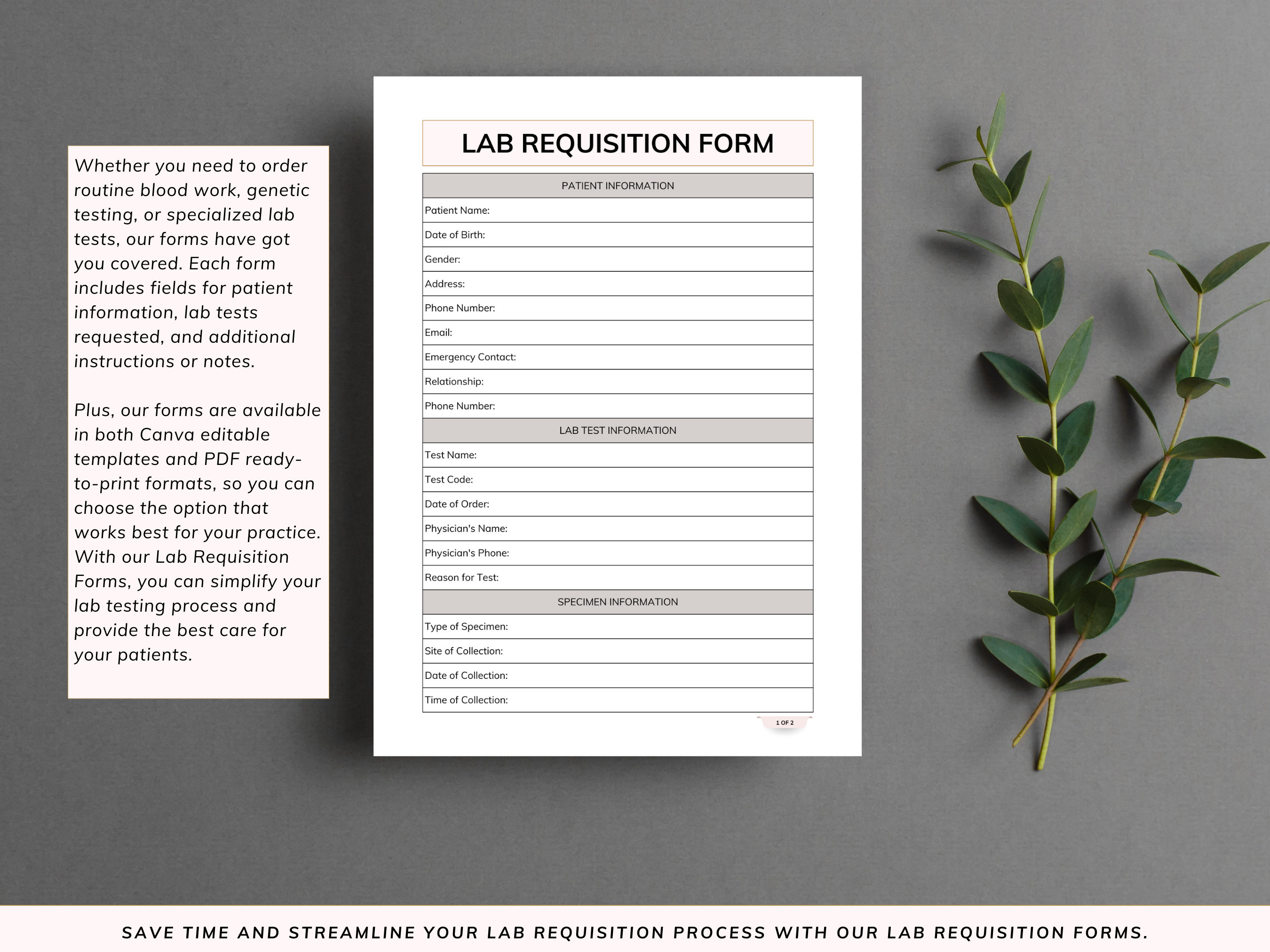 Lab Requisition Forms - 7 Editable Canva Templates and Printable PDF ...