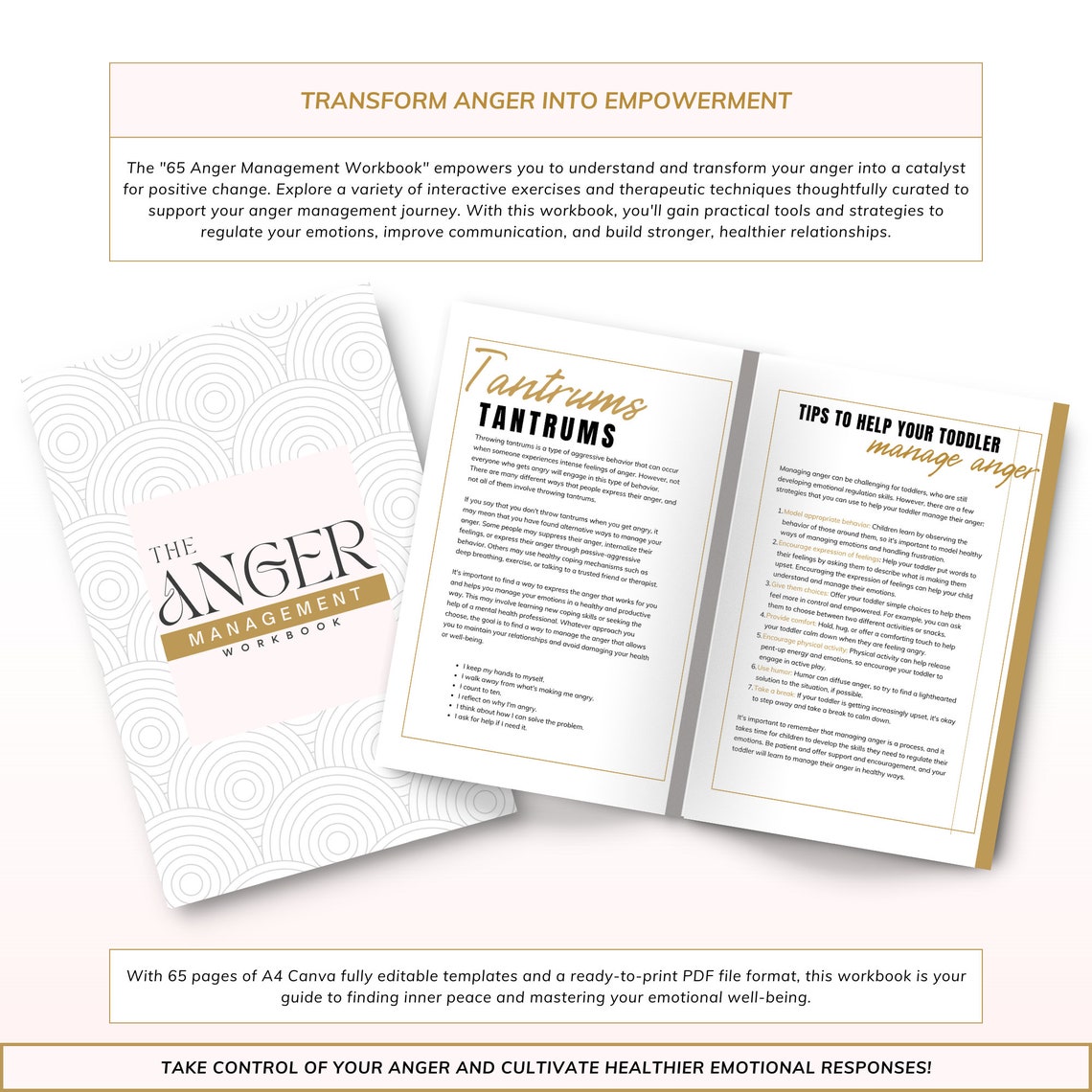 65 Page Anger Management Workbook, Stress Management Worksheet, and ...
