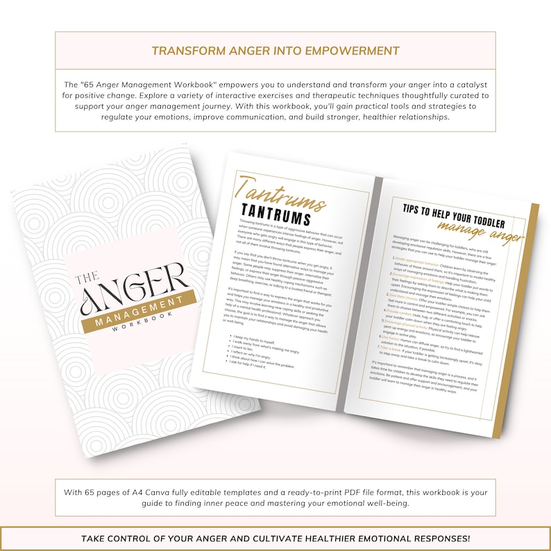 65 Page Anger Management Workbook, Stress Management Worksheet, and ...