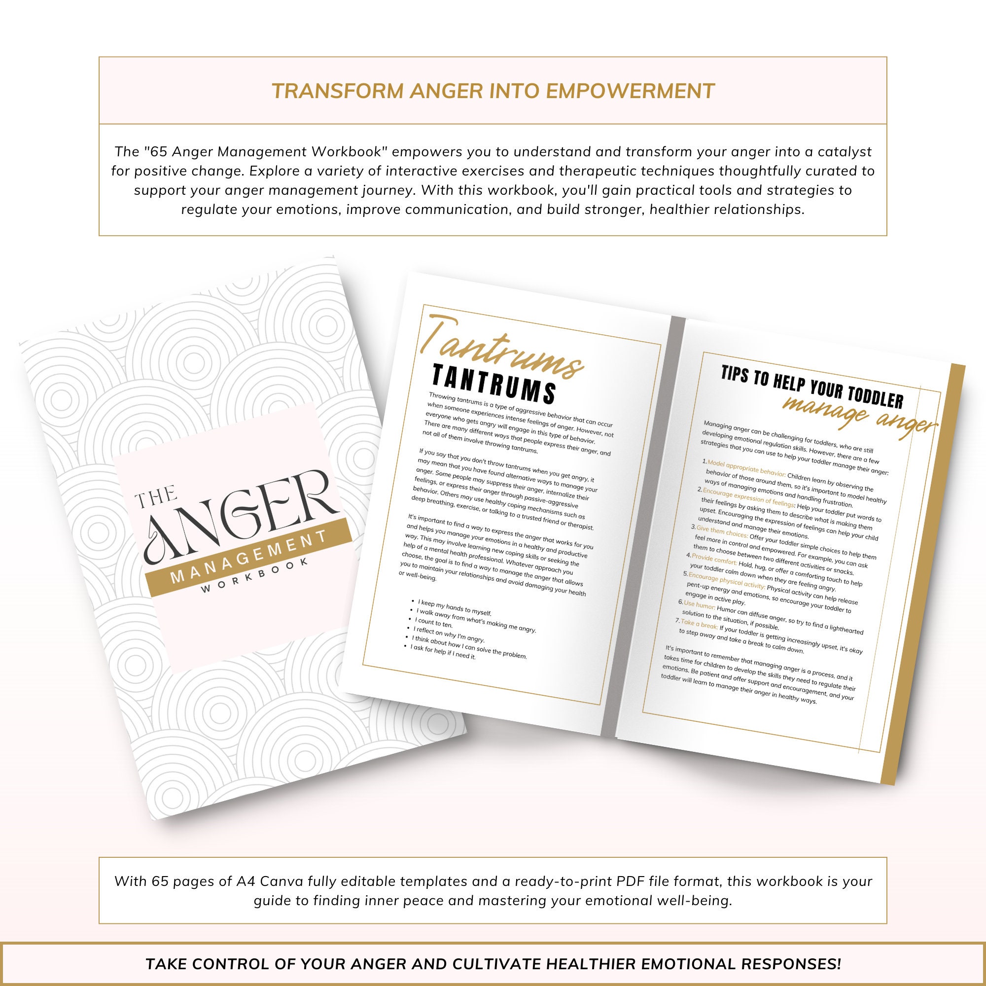 65-page Anger Management Workbook, Stress Relief, Self-care (PDF ...