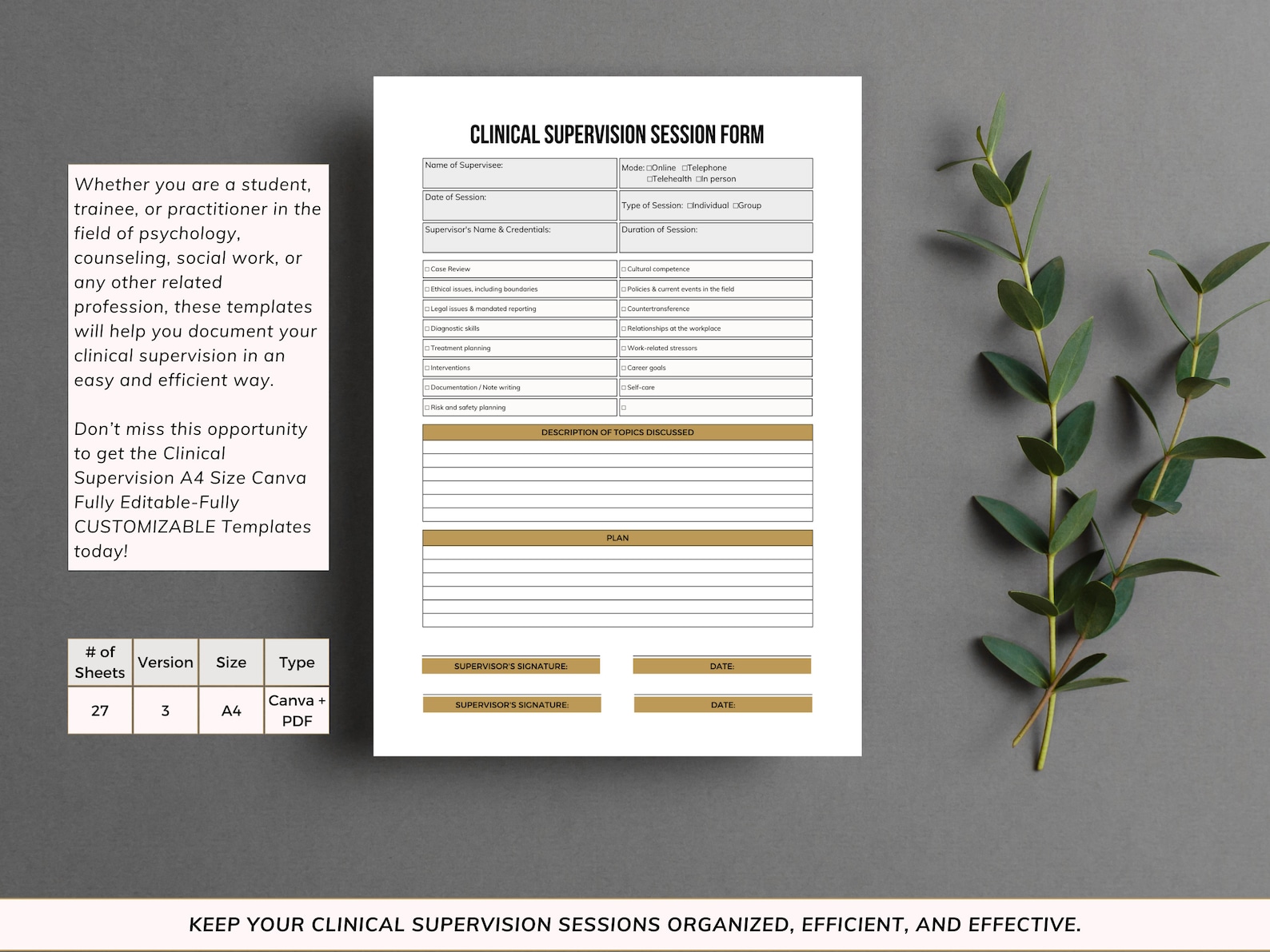 Clinical Supervision Session Forms and Hours Log - Editable Canva ...