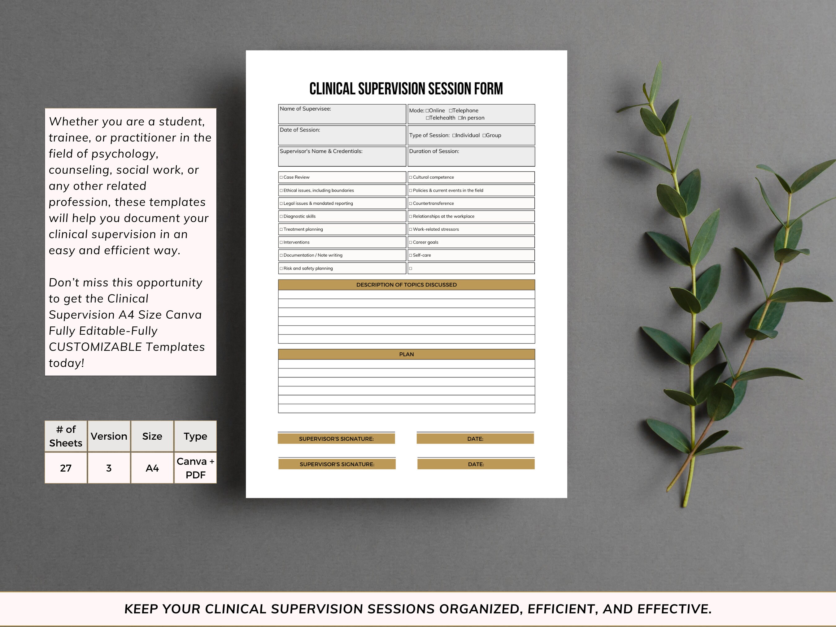 Clinical Supervision Session Forms and Hours Log - Editable Canva ...