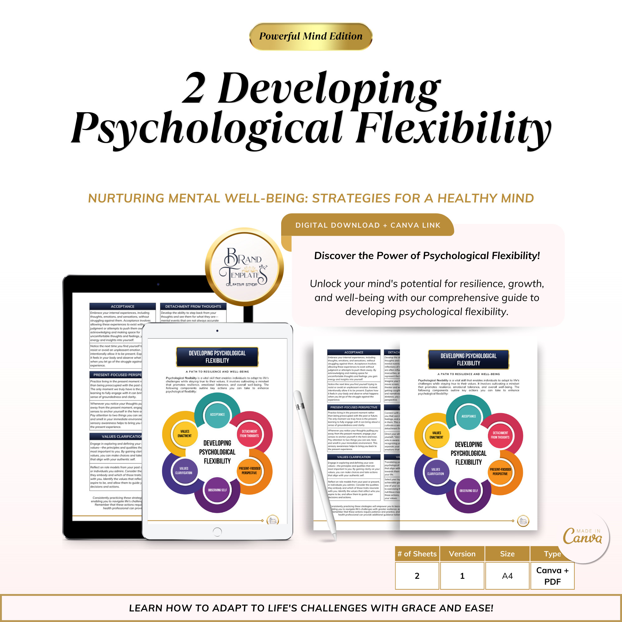 Developing Psychological Flexibility ACT Skill Worksheet: A Path to ...