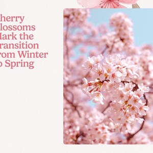Sakura Cherry Blossom Goodnotes Stickers, Botanical Digital Stickers ...