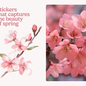 Sakura Cherry Blossom Goodnotes Stickers, Botanical Digital Stickers ...