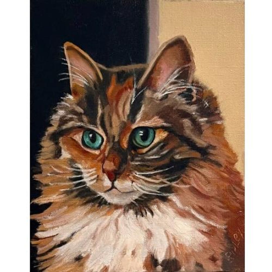 ORIGINAL Oil Painting of Maine Coon Cat. - Etsy