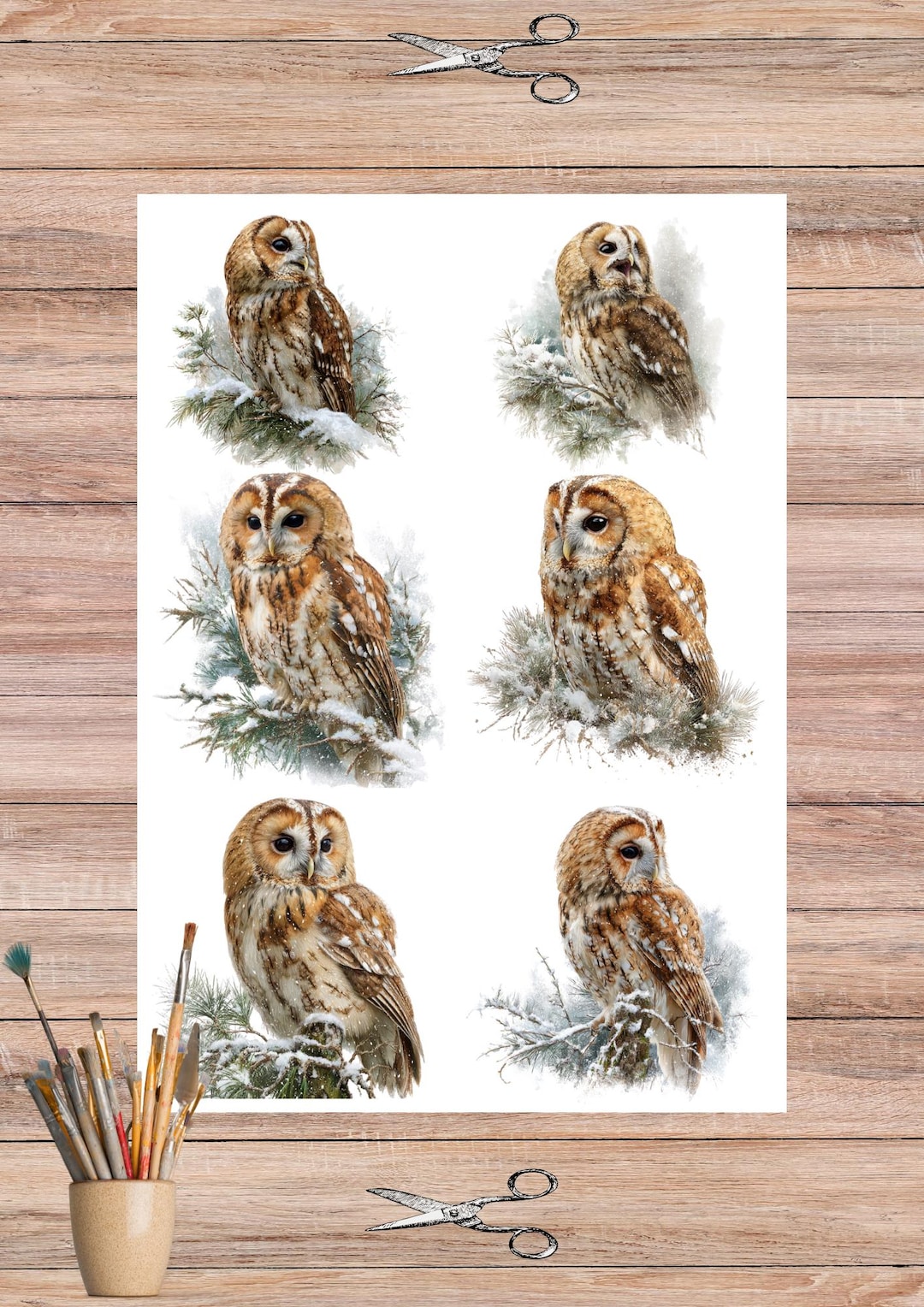 Watercolor Tawny Owl Rice Paper: Winter Woodland Decoupage, Junk ...