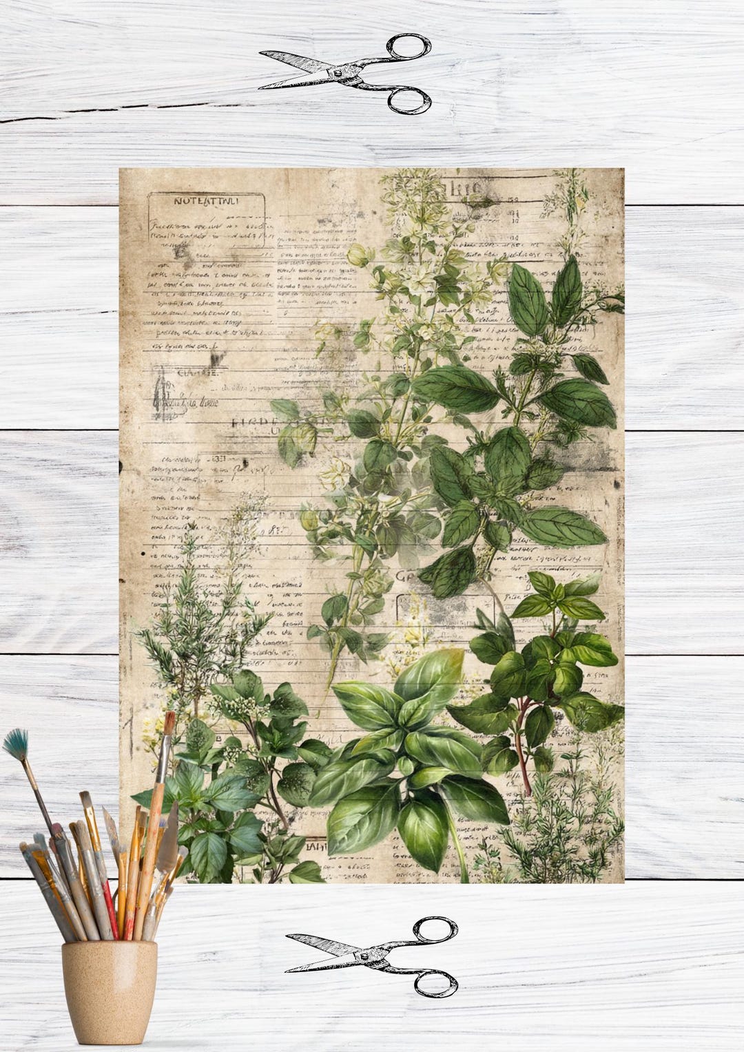 Botanical Herb Rice Paper Background With Antique Typography for Junk ...