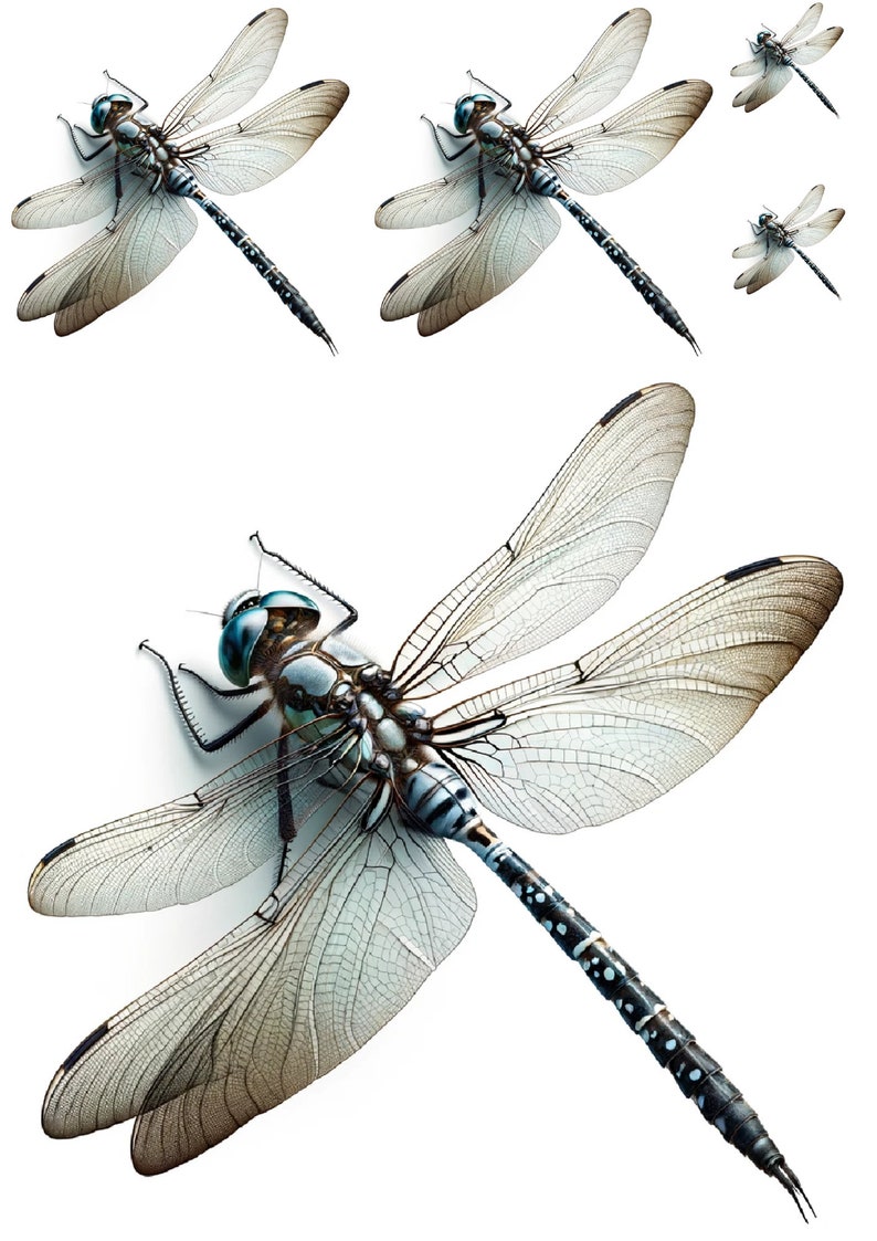 White Dragonfly Rice Paper: A4 Decoupage, Scrapbooking, Collage - Etsy