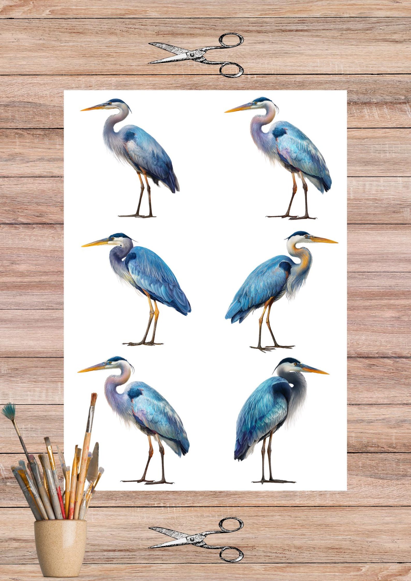 Blue Jay Rice Paper for Decoupage: Elegant Bird on Branch, A4 - Etsy