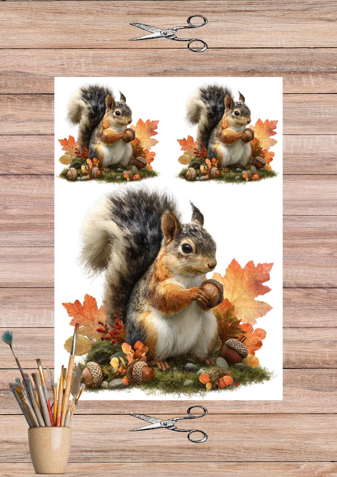 Woodland Squirrel Rice Paper – Photorealistic Squirrel With Acorns ...