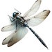Dragonfly Rice Paper for Decoupage Craft Scrapbooking Collage Junk ...