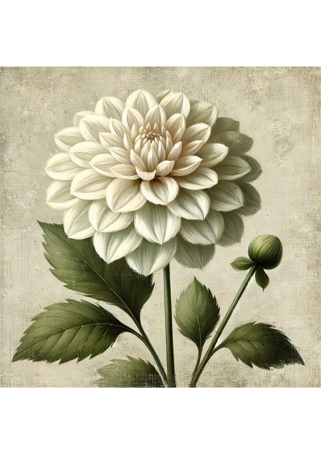 White Dalia Flower Rice Paper: Decoupage, Scrapbooking (A4) - Etsy