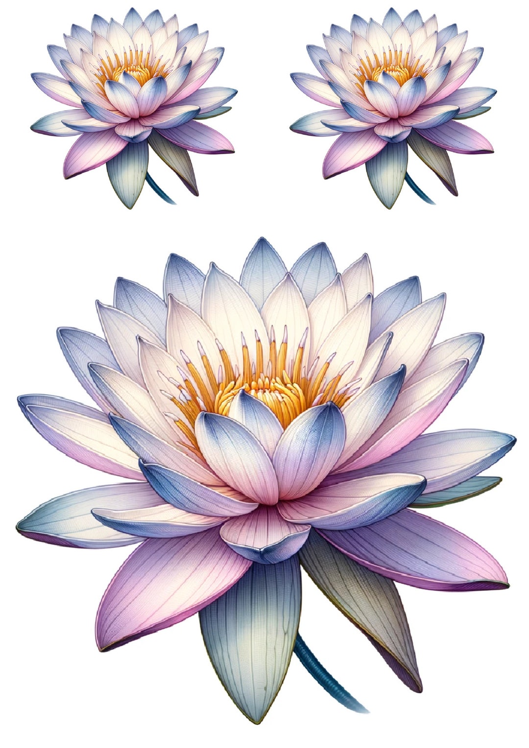 Water Lily - Rice Paper for Decoupage Craft Scrapbooking Mixed Media ...