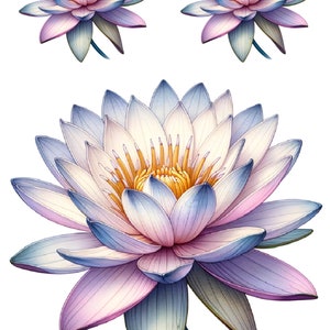 Water Lily - Rice Paper for Decoupage Craft Scrapbooking Mixed Media ...