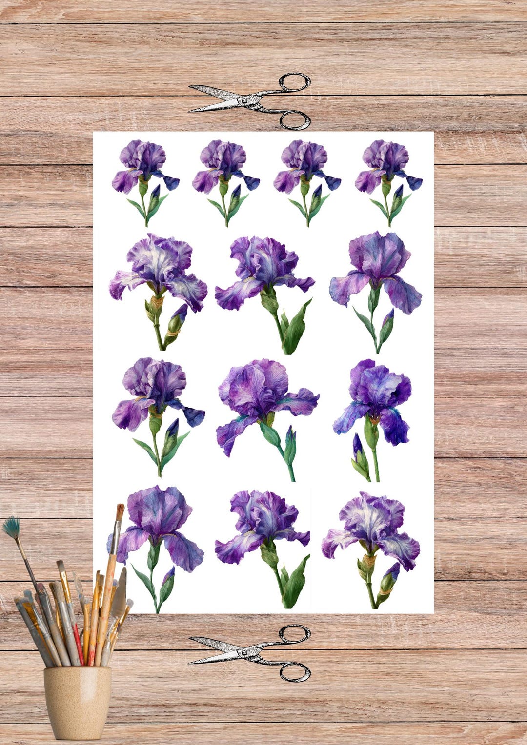Iris Flower Rice Paper – Realistic Watercolor Purple Iris With Green ...