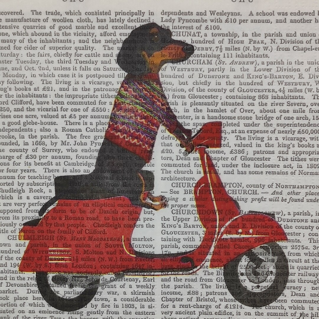 Only 1 Unique Paper Napkin for Decoupage Craft Collage Journal Crafting ...