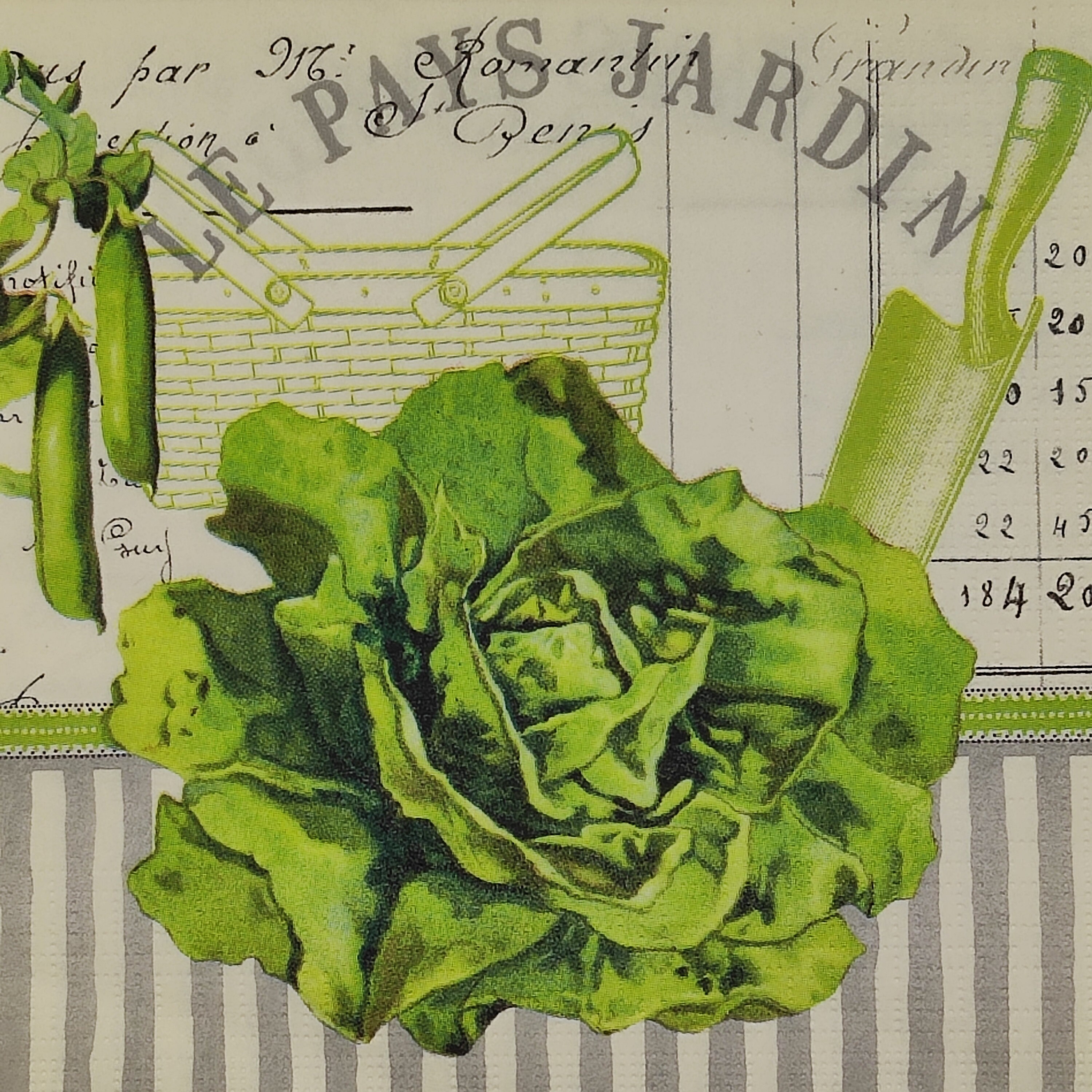 Lettuce Green Beans 4 Individual Lunch Paper Napkins Serviettes for ...