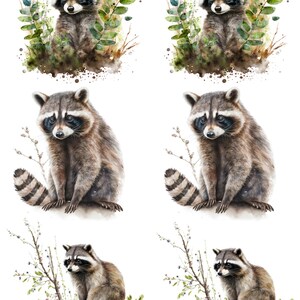 A4 Raccoon Rice Paper for Decoupage, Woodland Raccoon Decoupage Paper ...