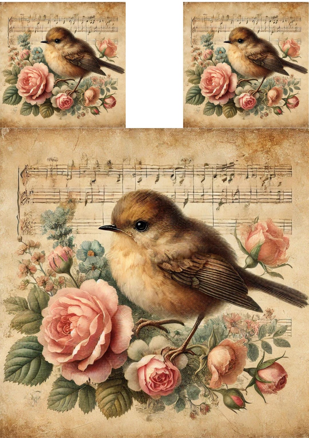 Red Robin Roses Rice Paper: Vintage Music Decoupage (A4) - Etsy