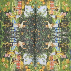 4 Individual Lunch Paper Napkins for Decoupage Craft Collage DIY ...