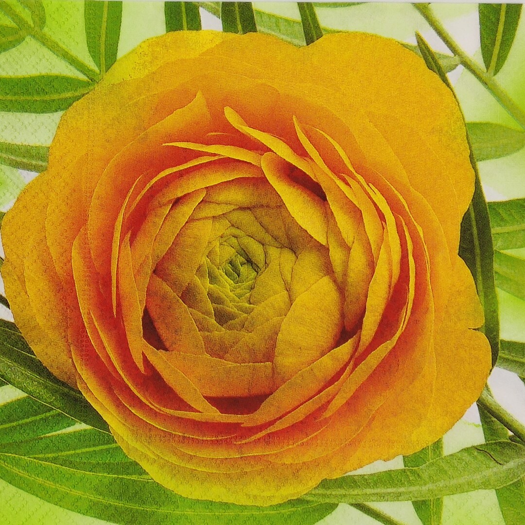 Yellow Rose Paper Napkins: Decoupage, Scrapbooking, Crafts (set of 3 ...