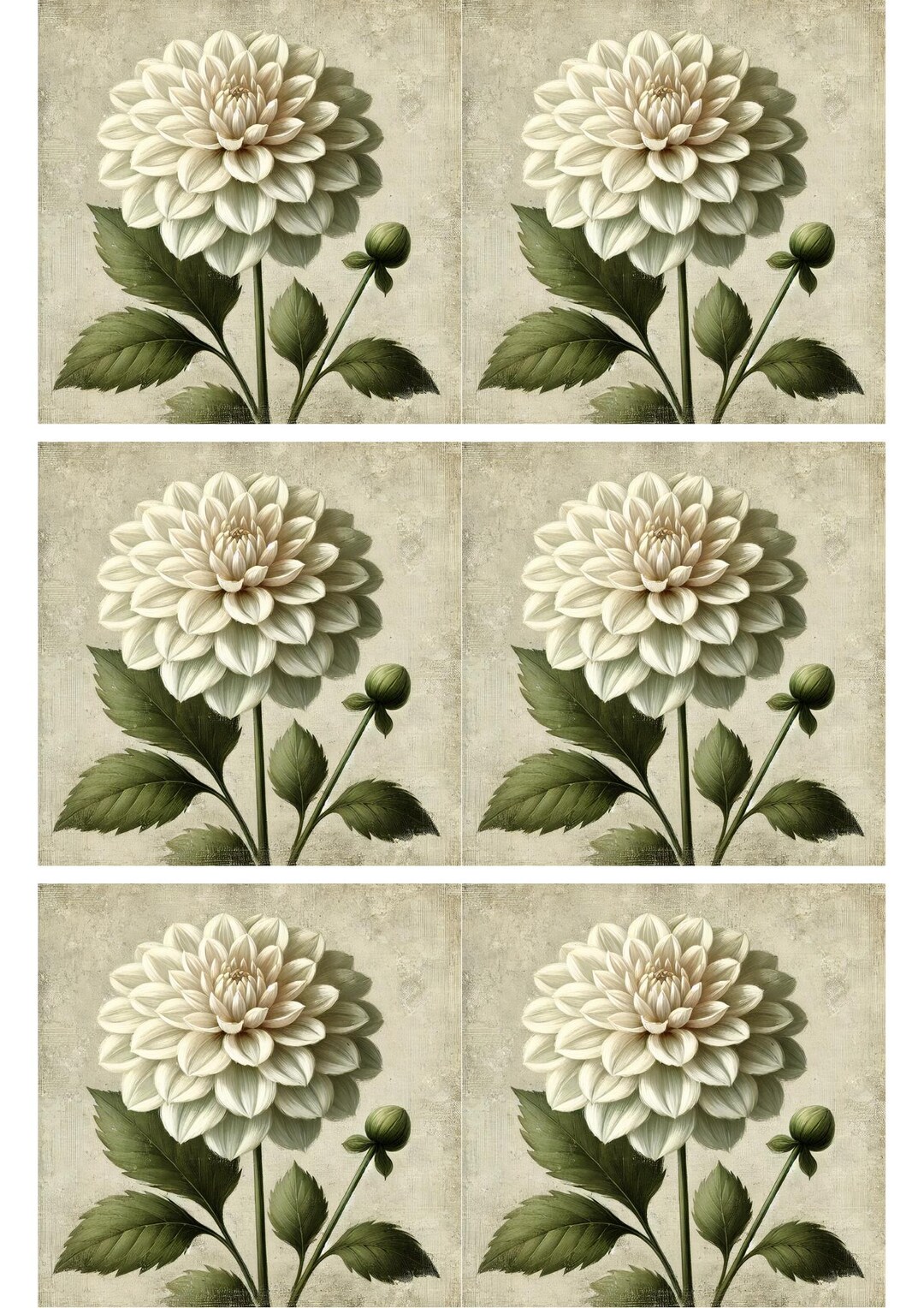 Rice Paper for Decoupage, White Dalia Collage Sheet 1 A4, Art Journal ...