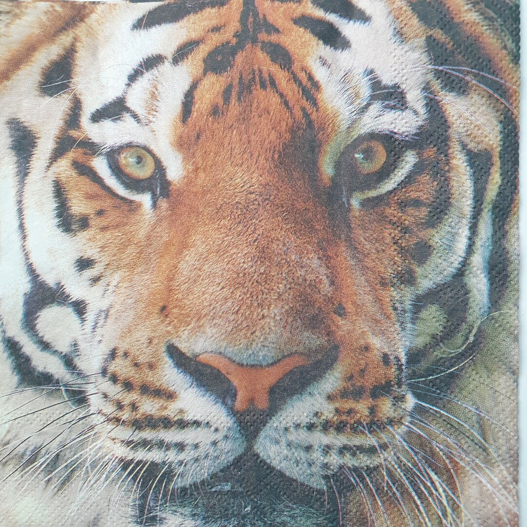 Tiger Paper Napkins: Decoupage, Scrapbooking, Collage (4 Lunch Napkins ...