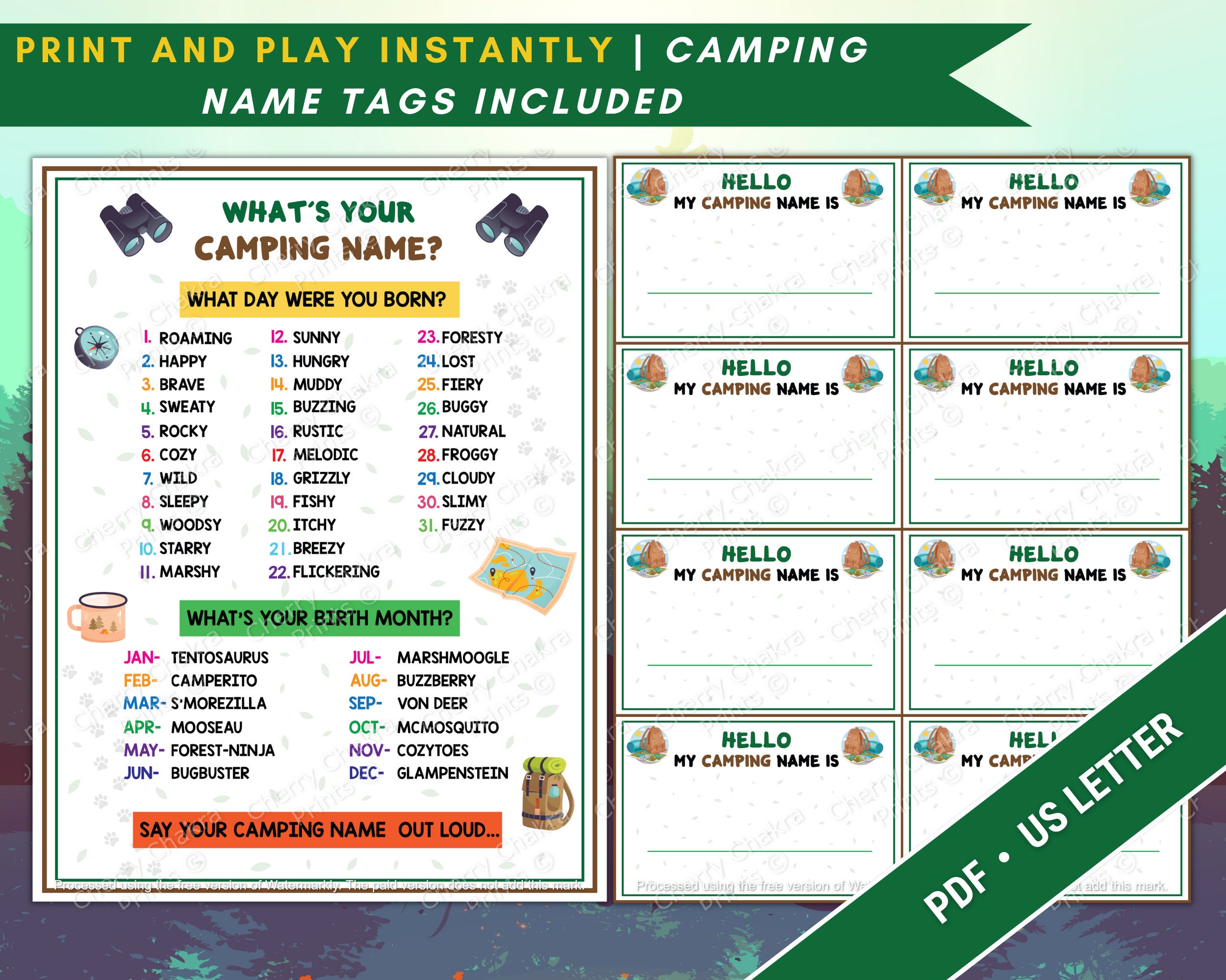 What's Your Camping Name Game WITH NAMETAGS & SIGN | Camping Birthday ...