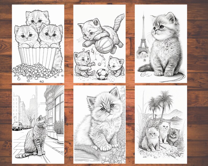 16 Cute Realistic Baby Cats Coloring Page Book Adults Kids - Etsy