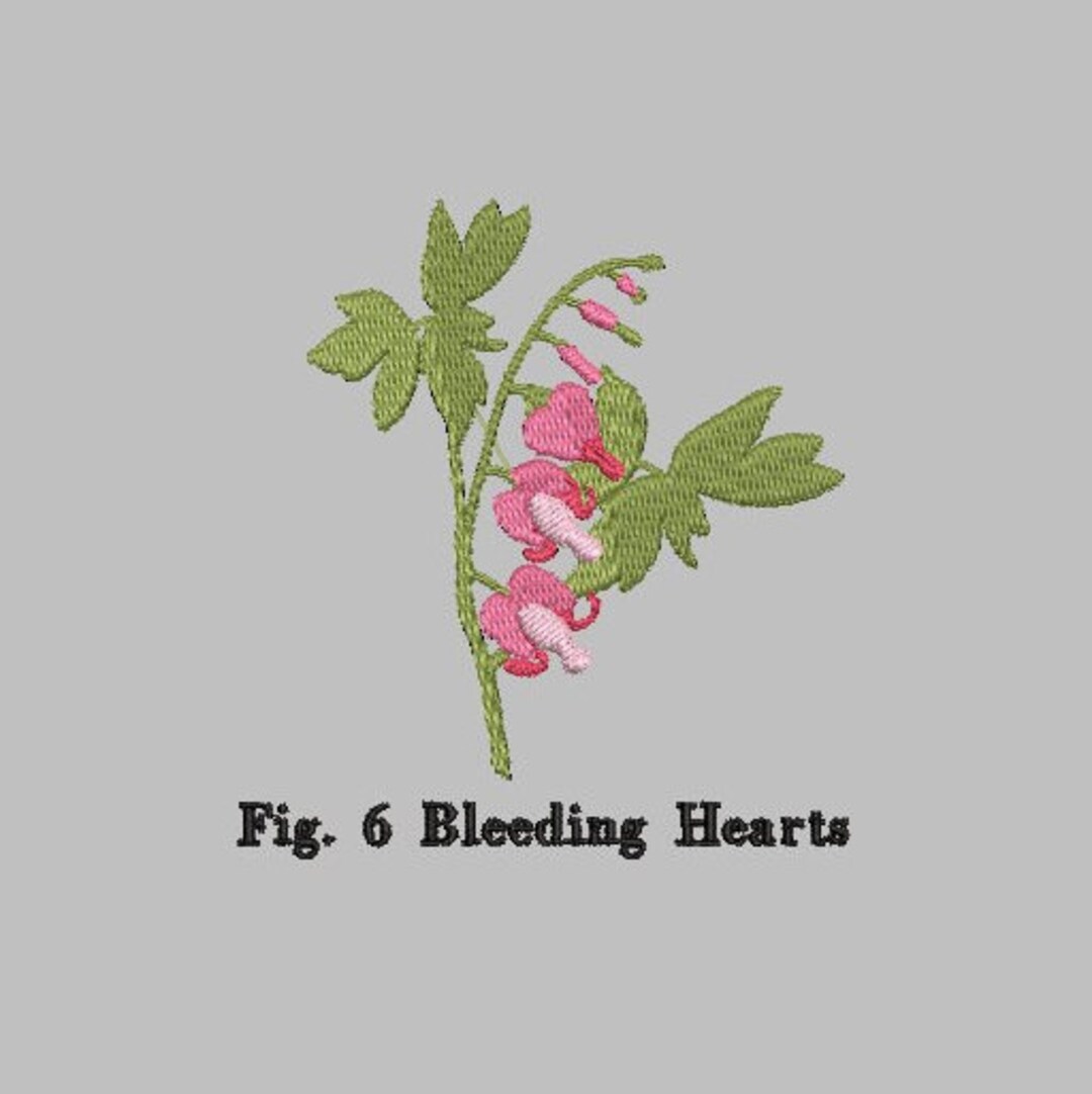Bleeding Hearts Embroidery Design Machine File Deadly Poison Flower ...