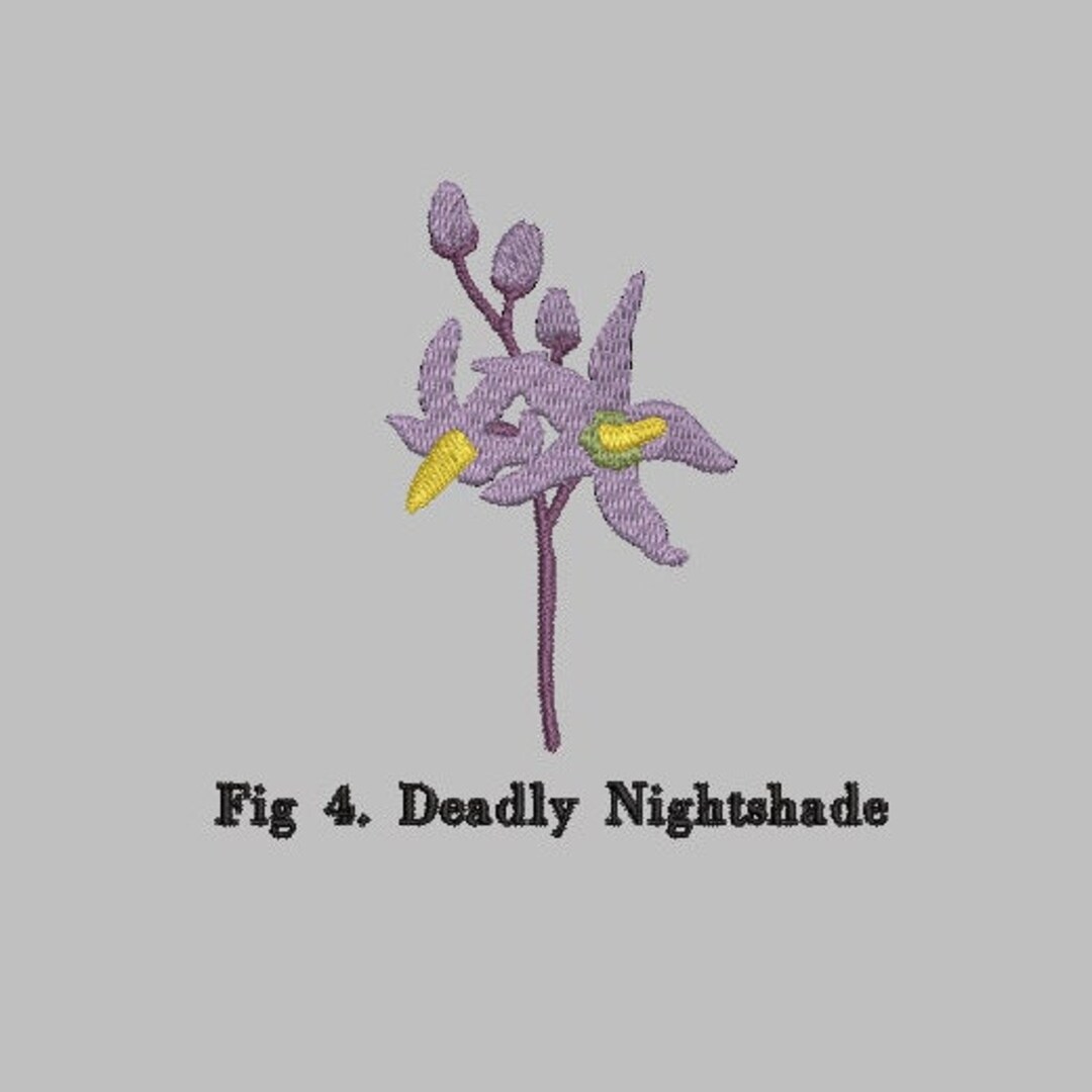 Deadly Nightshade Embroidery Design File Figure 4 Scientific ...
