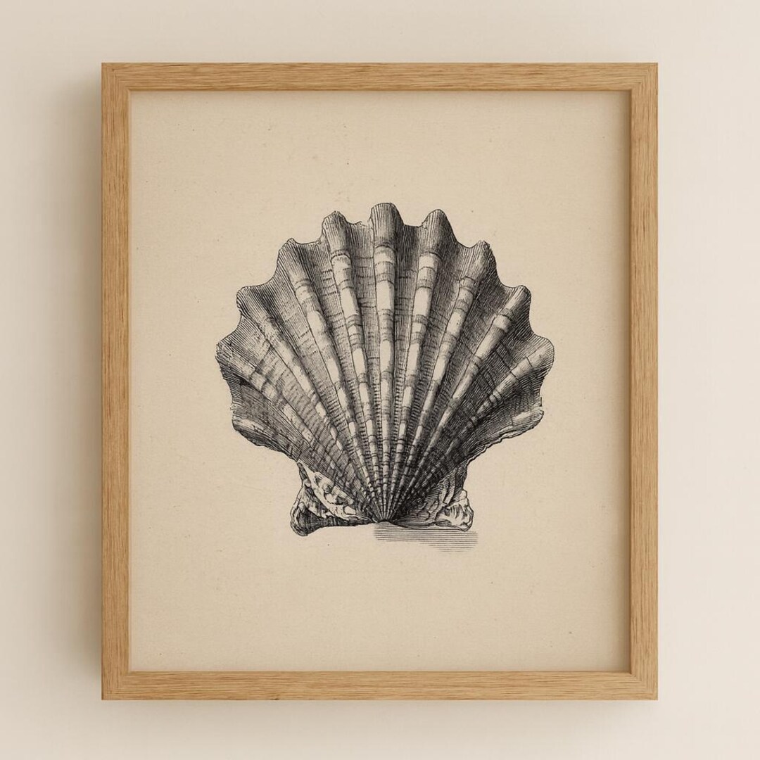 Vintage Seashell Illustration Print, Coastal Cottage Decor (digital ...