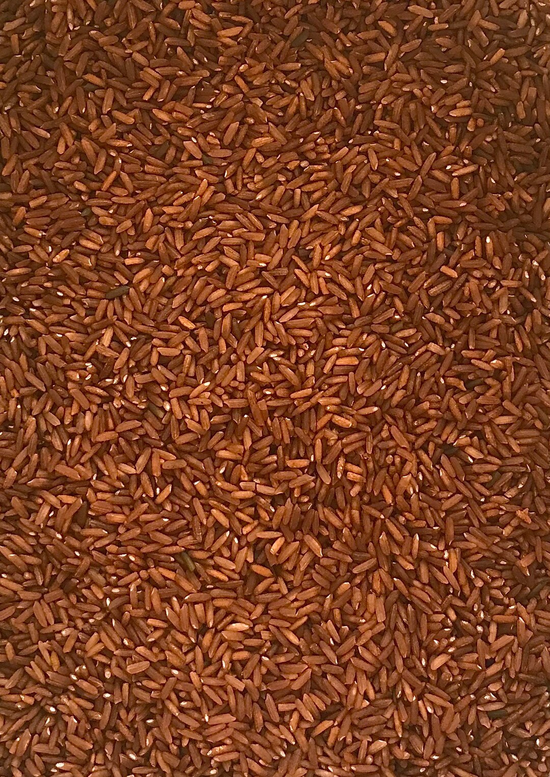 Brown Sensory Rice Filler Sensory Rice Handmade Sensory - Etsy