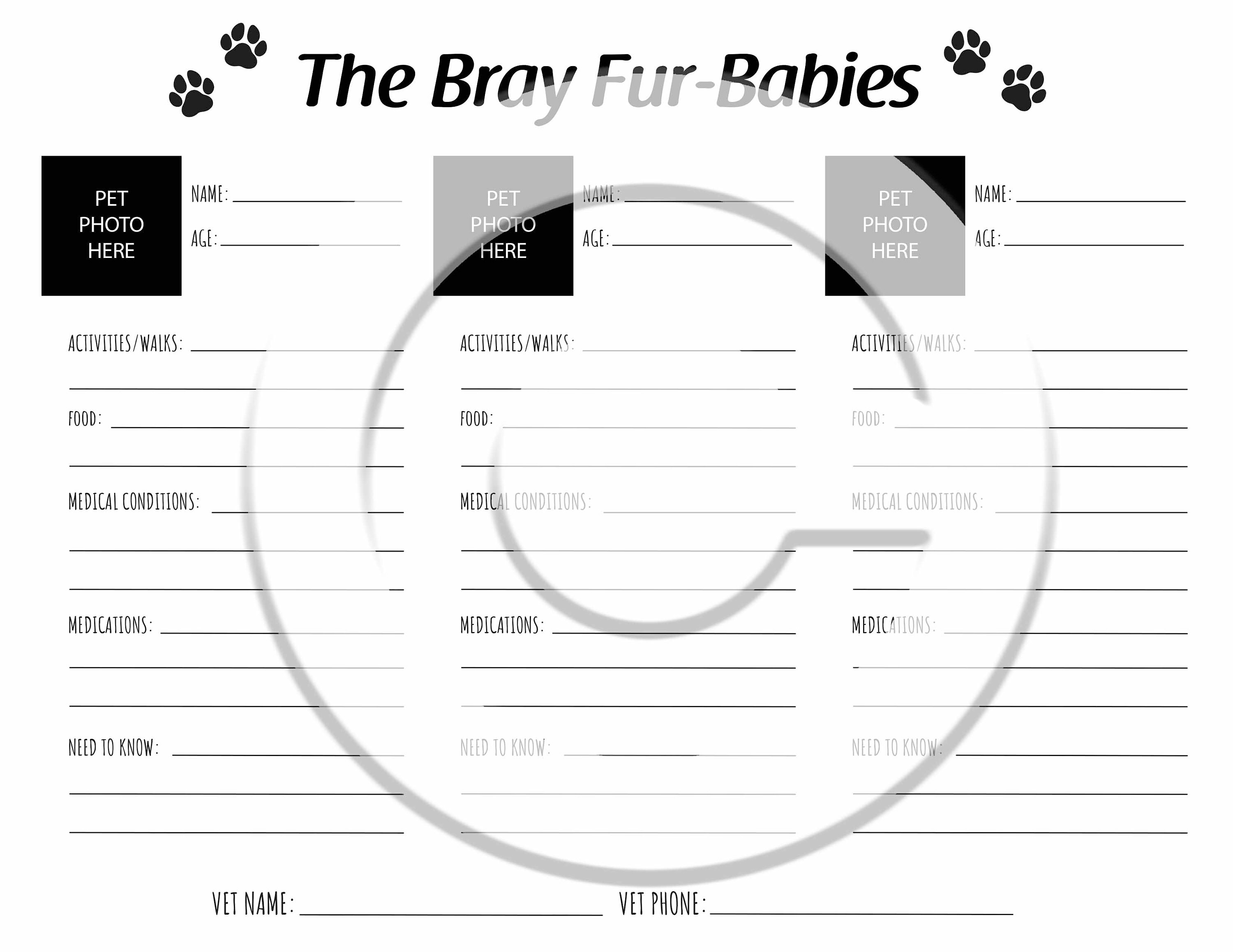 Printable Pet Sitter Information Sheet Etsy