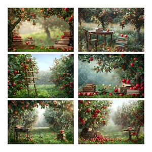 Apple Orchard Digital Backdrops, Fall Harvest, Back to School, Creative ...