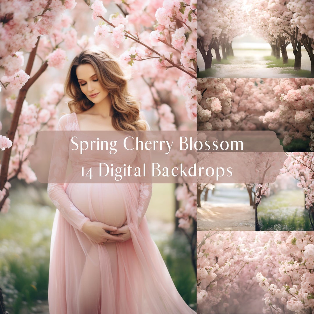 Spring Cherry Blossom Digital Backdrops, Flower Garden Pathway ...